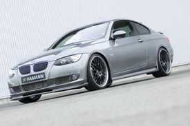 HAMANN GALLERY