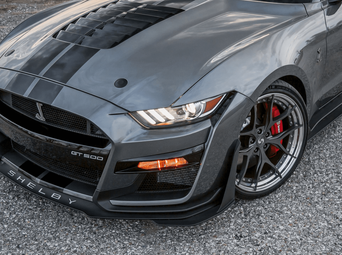 FORD SHELBY GT500 SIGNATURE SV304S