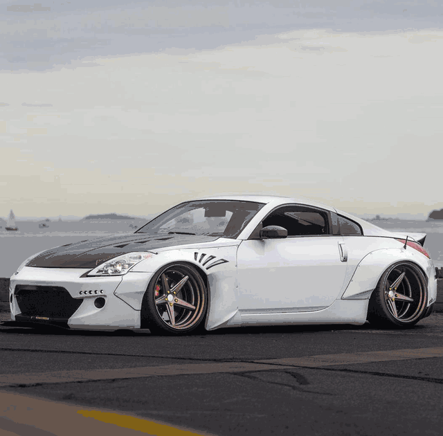 Custom Black 350z