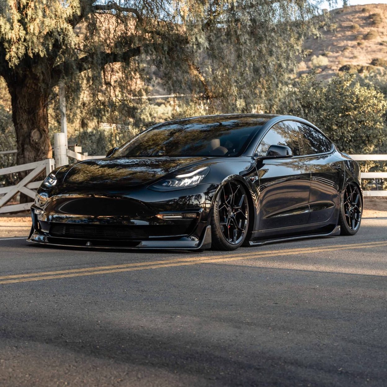 TESLA MODEL 3 BLAQUE DIAMOND BD-F25 GLOSS BLACK