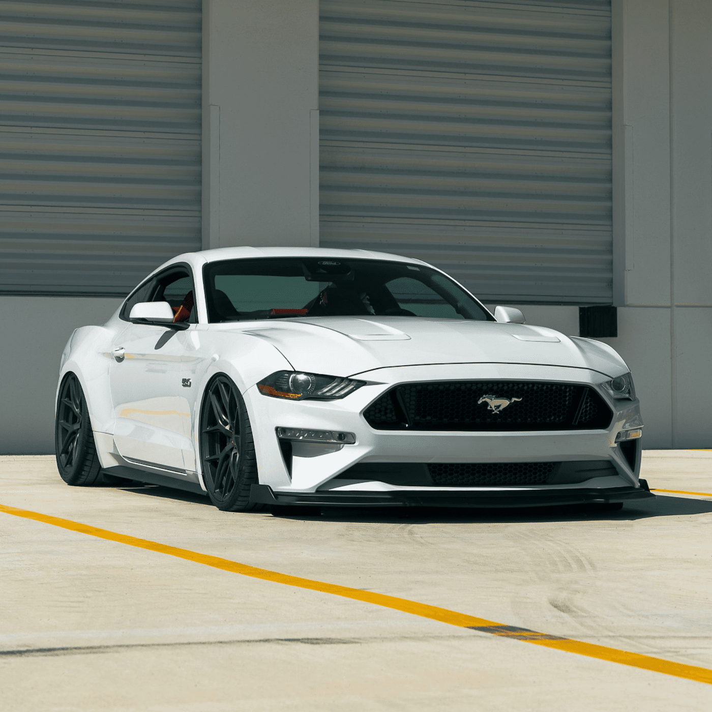 Matte White Mustang