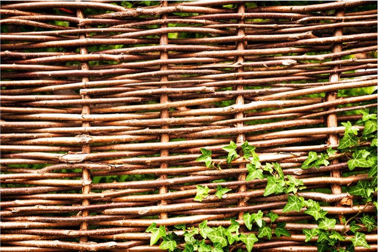 Buyers Guide to Wicker and Rattan Furniture