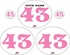 Factory Ride Vintage Oval Number Plates White Backgrounds / Pink Numbers