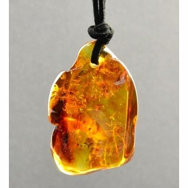 Baltic Amber Pendants [Baltic Amber Jewelry Shop].