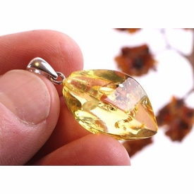 Baltic Amber Pendants [Baltic Amber Jewelry Shop].