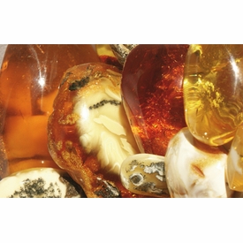 Baltic Amber Education Room. Learn, Explore Pages About Amber.