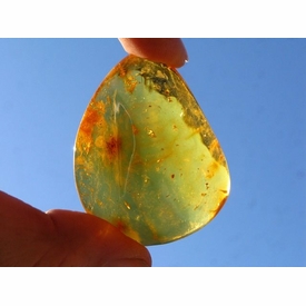 Baltic Amber Education Room. Learn, Explore Pages About Amber.