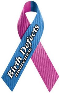 Birth Defects Awareness Ribbon Magnet|AwarenessDepot.com