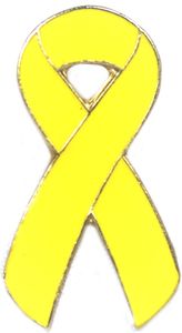 Bladder Cancer Awareness Ribbon Pin|AwarenessDepot.com