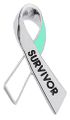 Cancer Survivor Pins - Many colors to choose from!|AwarenessDepot.com