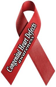 Congenital Heart Defects Awareness Ribbon Magnet|AwarenessDepot.com