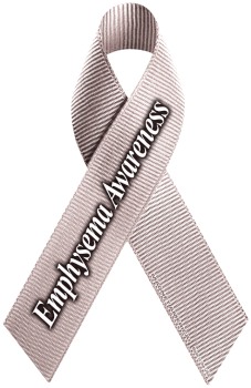 Emphysema Awareness Ribbon Magnet|AwarenessDepot.com