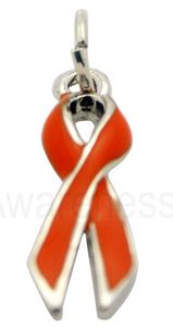 Multiple Sclerosis Ribbon Charm|AwarenessDepot.com