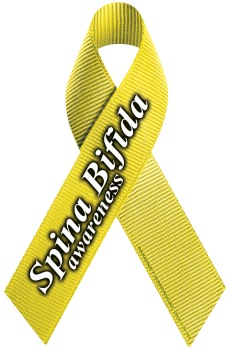Spina Bifida Awareness Ribbon Magnet|AwarenessDepot.com