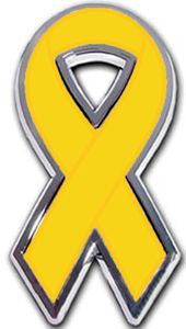 Spina Bifida Ribbon Chrome Auto Emblem|AwarenessDepot.com