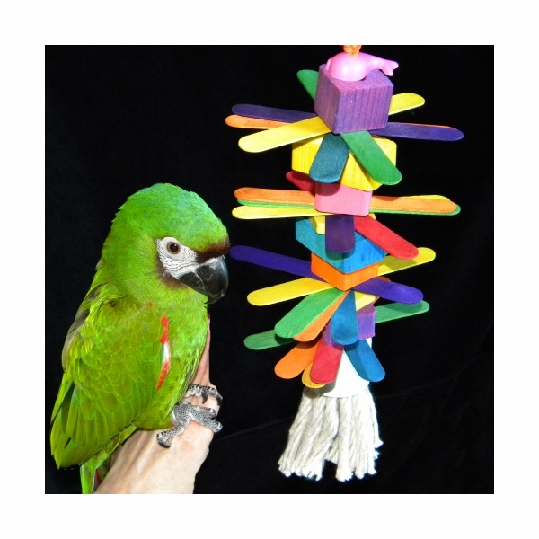 African Grey Parrot Toys