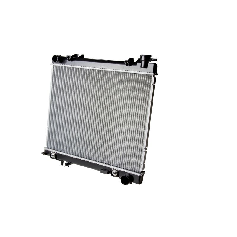 05-07 Dodge Dakota Raider V6 V8 Auto At Aluminum Core Replacement ...