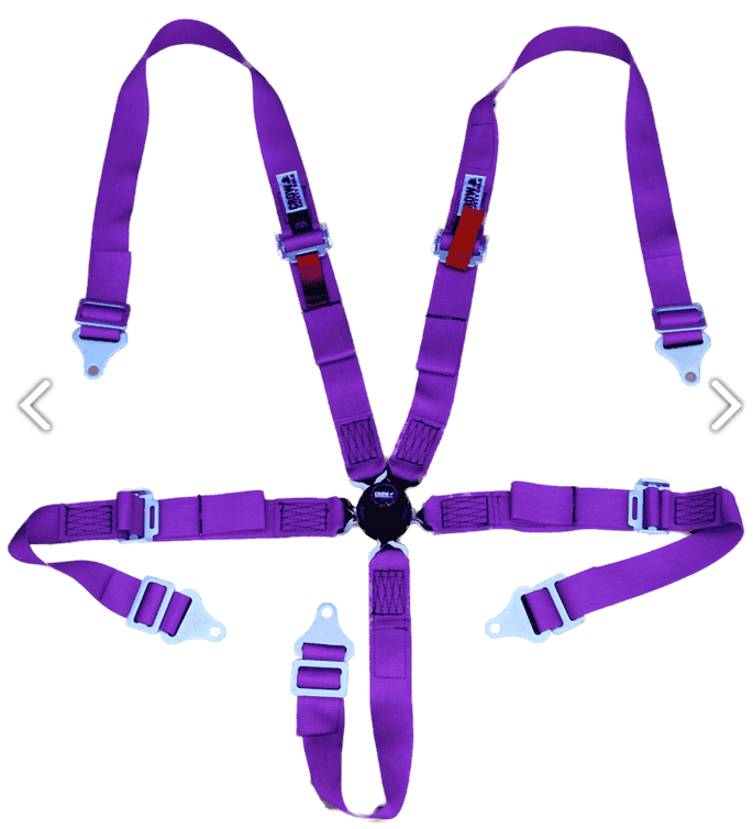 Clearance Crow Junior Camlock Harness - Purple
