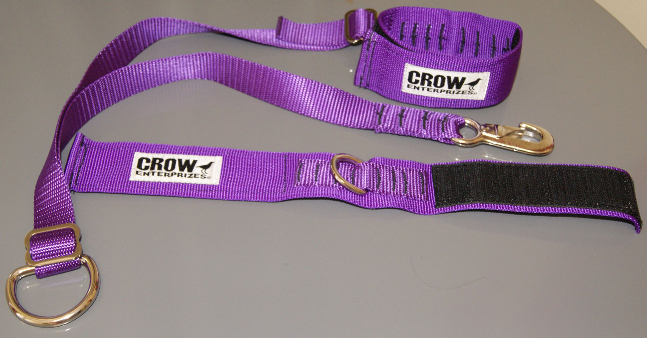 Crow Junior SFI 3.3 Purple V-Style