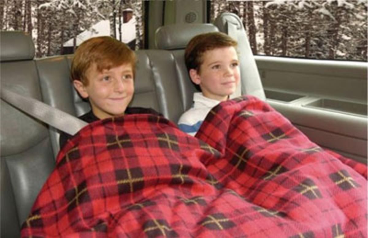 Trillium Car Cozy 2 12-Volt Heated Travel Blanket with Patented Safety ...