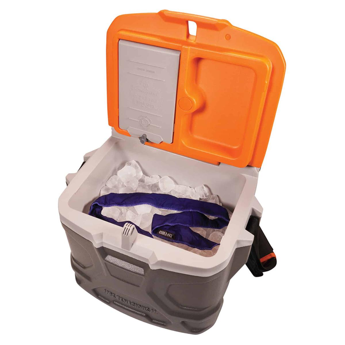 Ergodyne Chill-Its 6702 Cooling Bandana - Polymer Embedded Batting ...