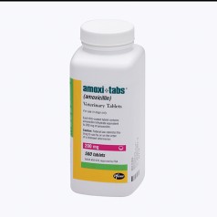 Amoxi-Tabs Amoxicillin Tablets 200 mg , 500/Bottle ZOETIS 10000479