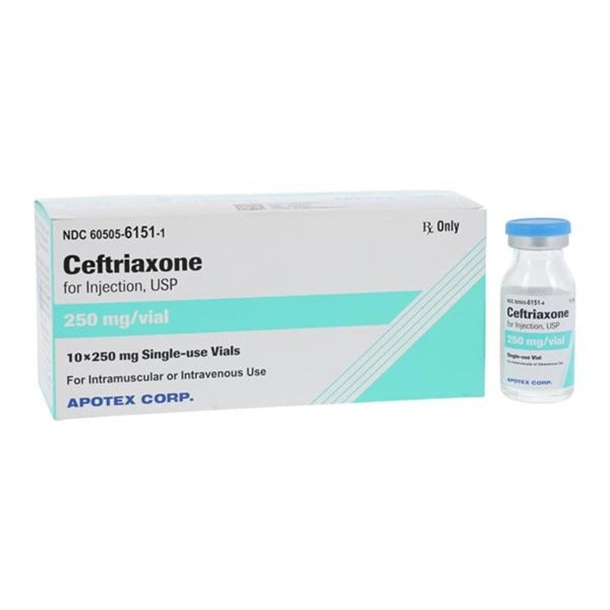 Ceftriaxone Sodium Injection 250mg/vl Powder SDV 10/Bx Apotex 60505615101