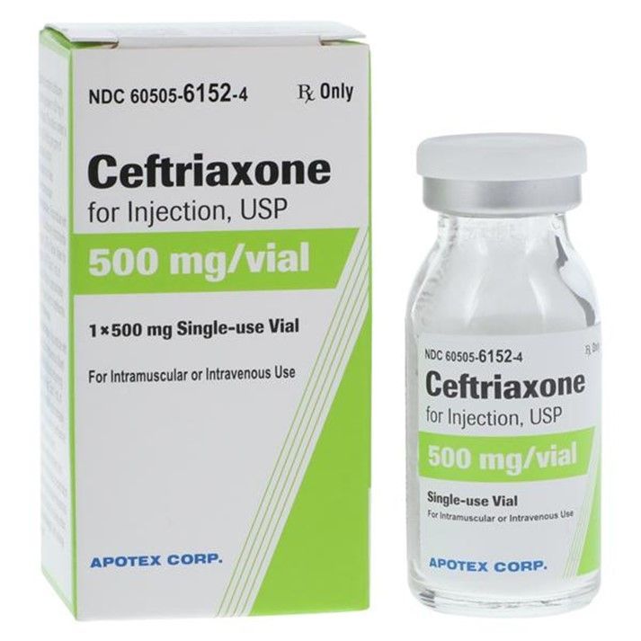 Ceftriaxone Sodium Injection 500mg/vl Powder SDV Each Apotex 60505615204
