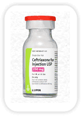 Cephalosporin (Antibiotic) Ceftriaxone Sodium 500 mg Injection Single ...