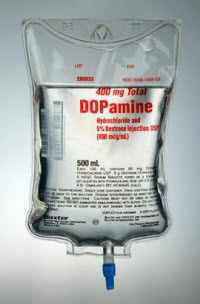 Dopamine Injection In Dextrose Premix Solution 400mg/Bg 500mL 12/Case ...