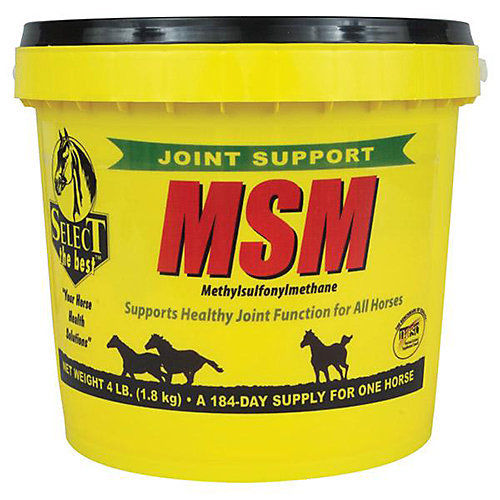 MSM 10lbs Richdel 784299401006