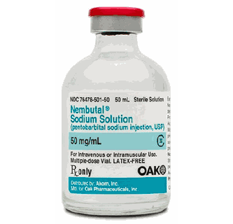 Barbiturates Injection