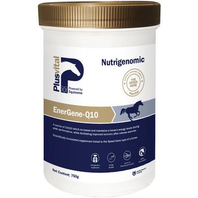 Plusvital EnerGene-Q10 750 g PLUSVITAL PV501-0.75
