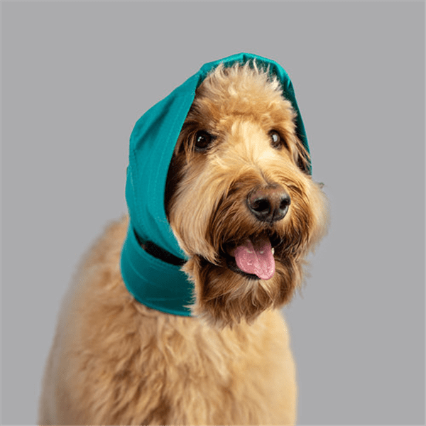 No Flap Ear Wrap, Green Pinpoint Mesh, Small / Medium, 7" - 9" / 15 ...