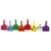 Temple Tag Super Feeder Ear Tag, Blank, Blue , 50/Pack Daramars 77200 BLUE