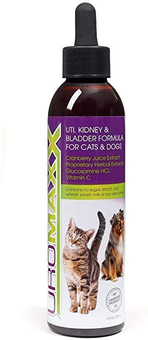 UroMAXX UTI / Kidney / Bladder Formula for Dogs and Cats, 6oz , Each ...