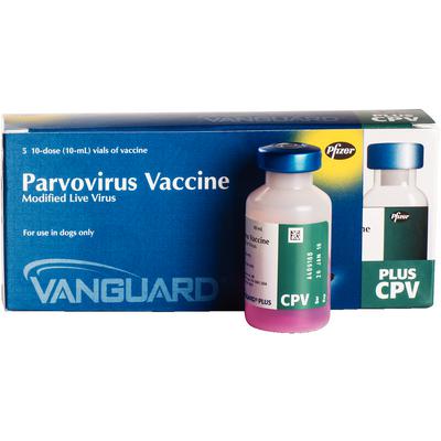 Vanguard Plus CPV 5 X 10 Dose ZOETIS 10000440