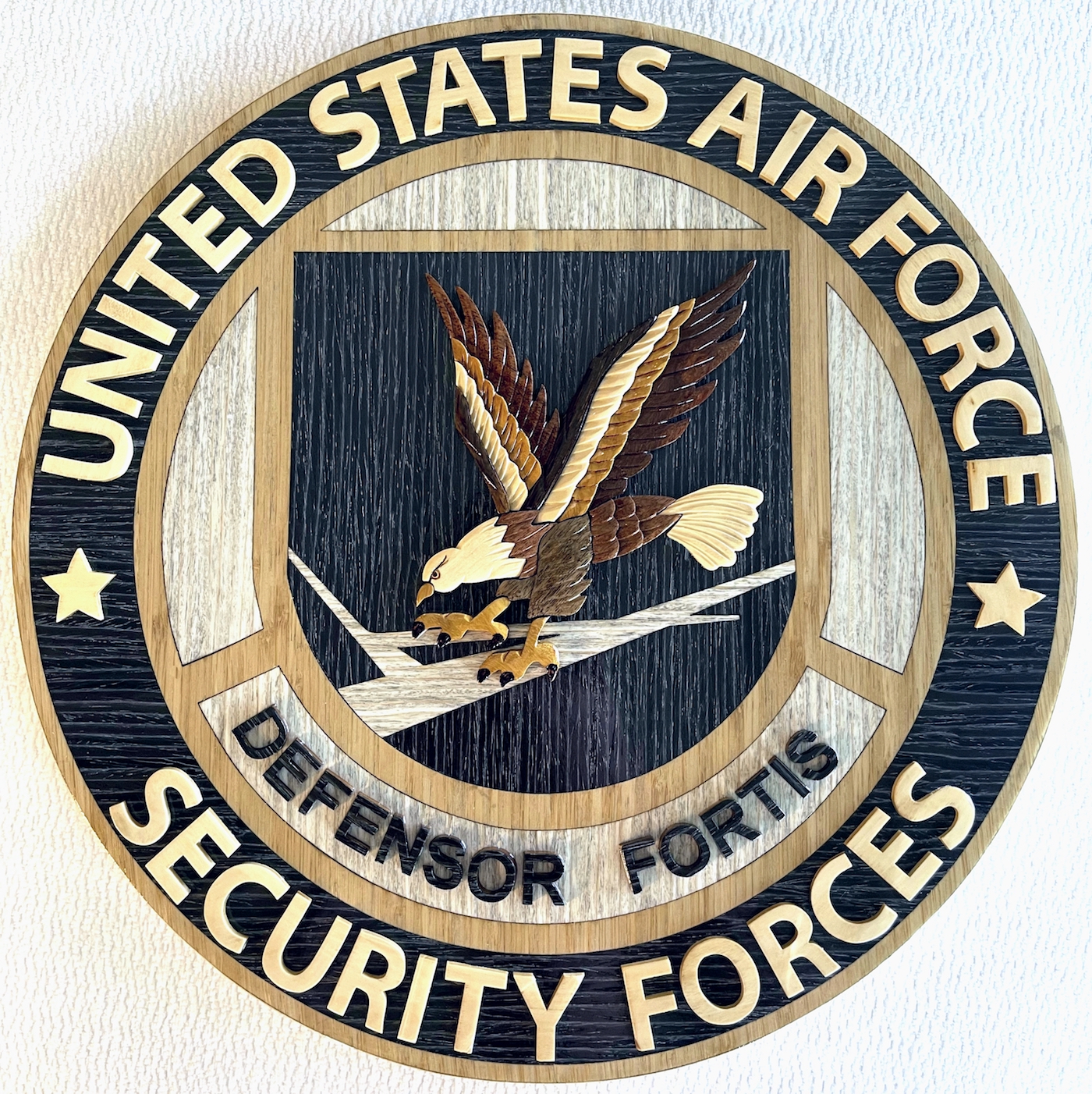 Air Force Security Forces Patch