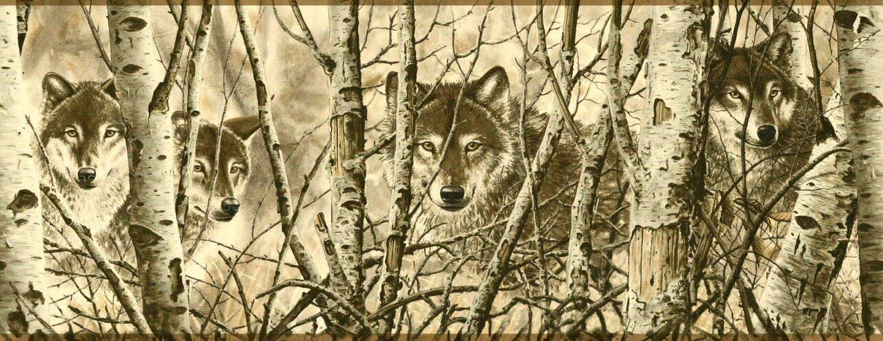874425 Wolves Peeking from Birch Trees Wallpaper Border WD4170b ...