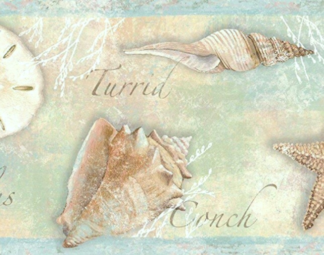 878060 Seashells Wallpaper Border CT46051b