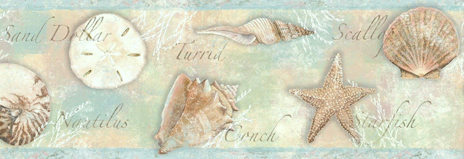 878060 Seashells Wallpaper Border CT46051b