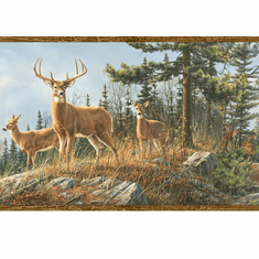 Hunting Wallpaper Borders