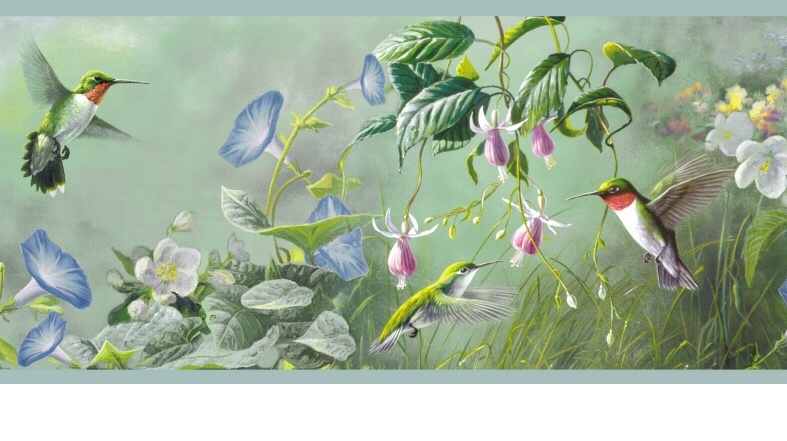 878320 Ruby Hummingbird Wallpaper Border HTM48531b / 3118-48531b