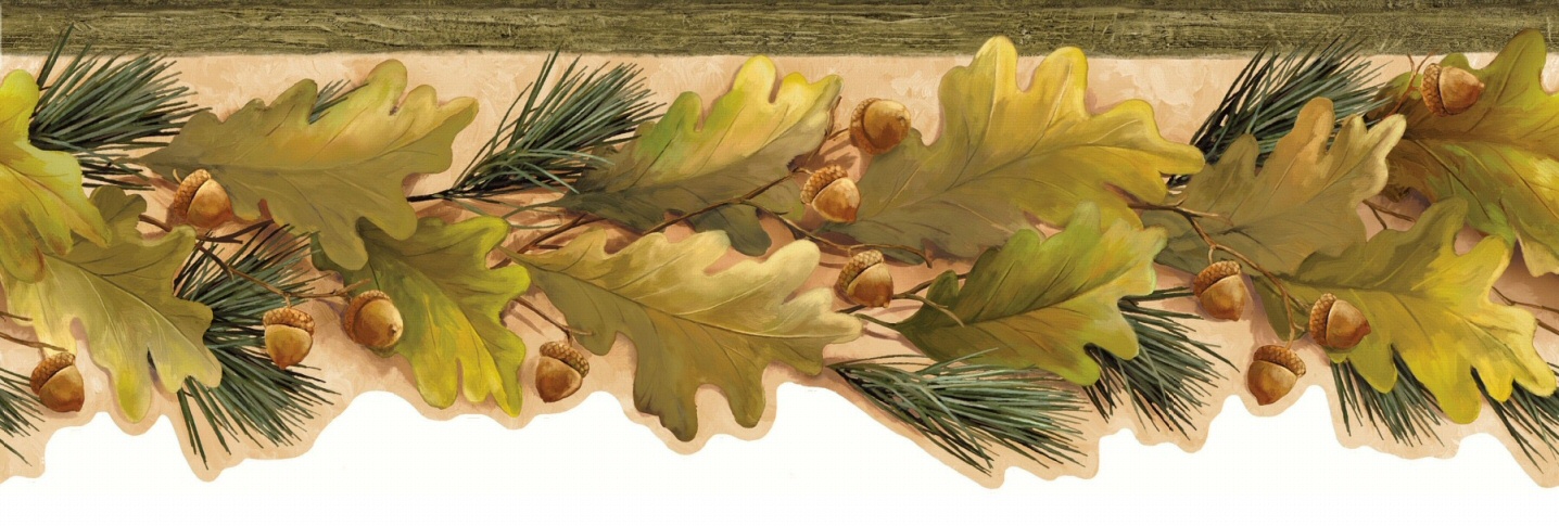 Oak Leaves & Acorns Wallpaper Border LL50121b CLEARANCE!! QUANTITIES ...