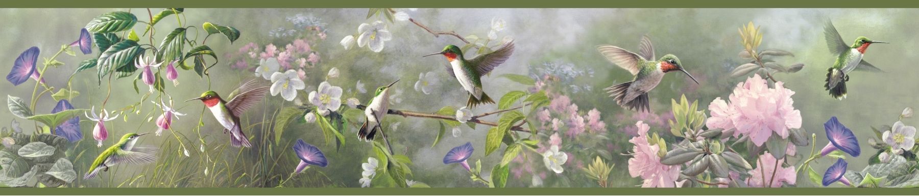 878474 Hummingbirds Wallpaper Border HTM48532b CLEARANCE!! QUANTITIES ...