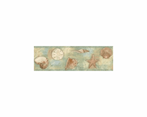 Sea Shells Wallpaper Border CT46052b CLEARANCE!! QUANTITIES LIMITED!!