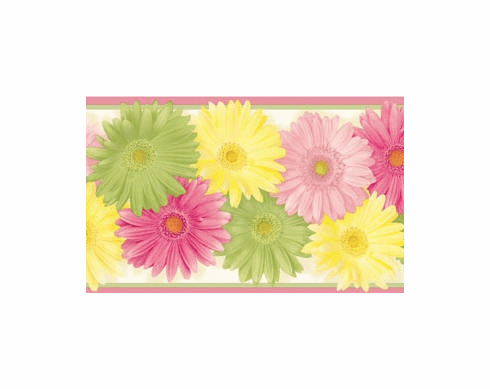 Daisy Chain Wallpaper Border CK83243b
