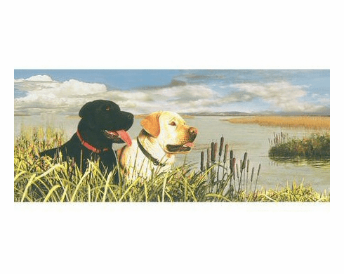 Labrador Retriever Wallpaper Border