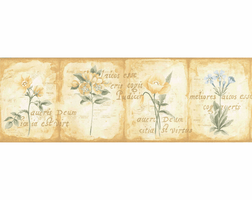 880103 Script Botanical Floral Wallpaper Border 332b39705 CLEARANCE ...