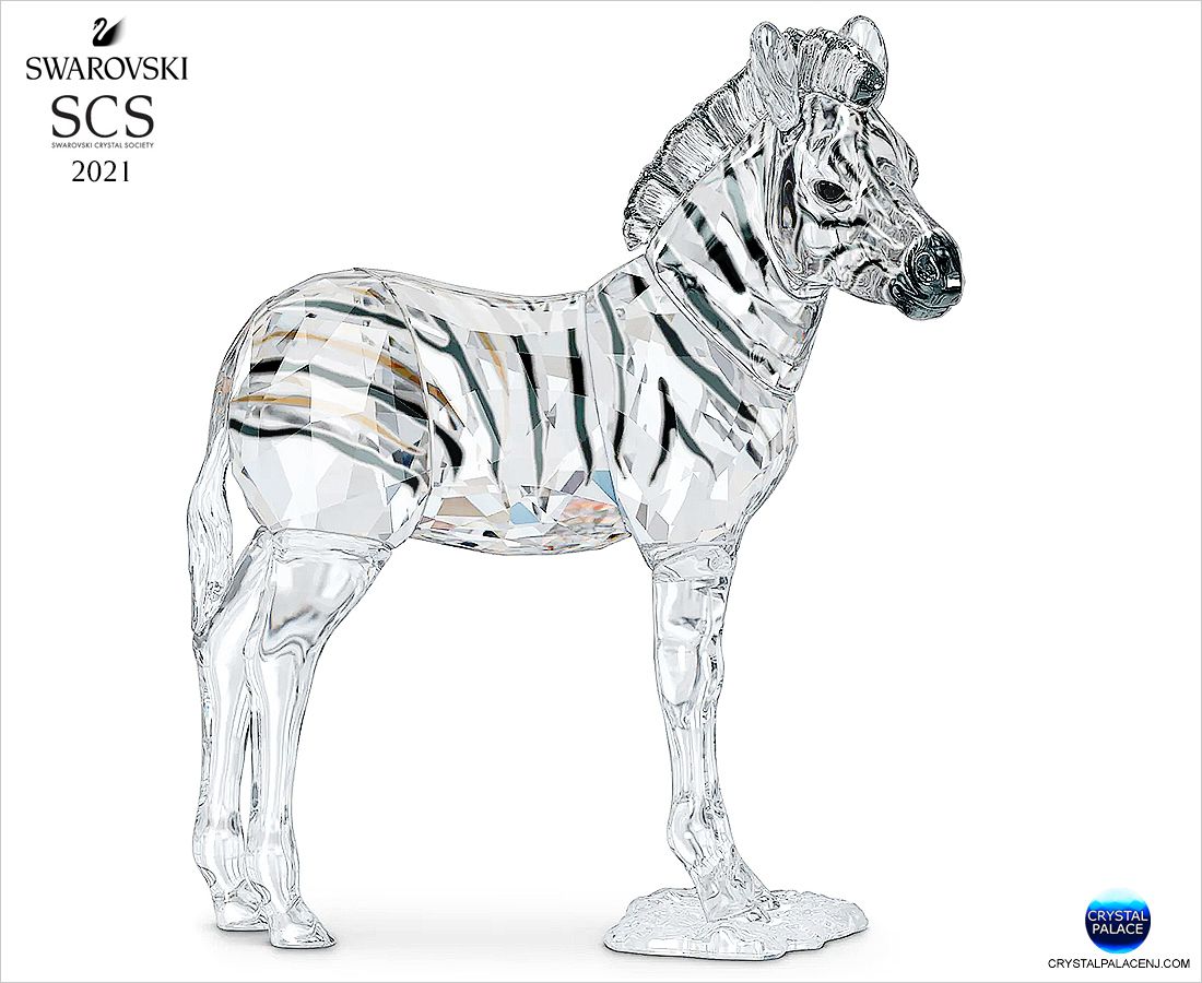 5557906 Swarovski Baby Zuri Elegance of Africa SCS Annual Edition 2021